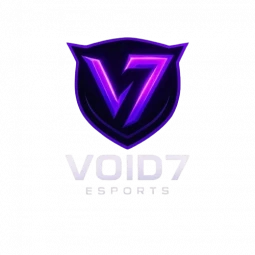 Void 7 is the esports team you need to join - Curry.gg
