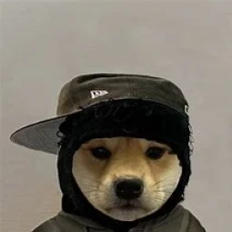 topher's Rocket League esports profile to rule them all - Curry.gg