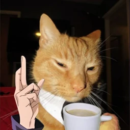 Stigzz's Mobile Legends: Bang Bang esports profile to rule them all ...