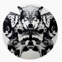 El perfil de esports de Meiryo en Valorant que lo tiene todo - Curry.gg